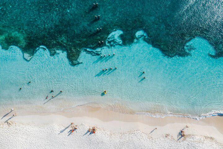在阿鲁巴岛，这个“王鱼”称王的加勒比海岛屿应该吃些什么 - 咕咕读