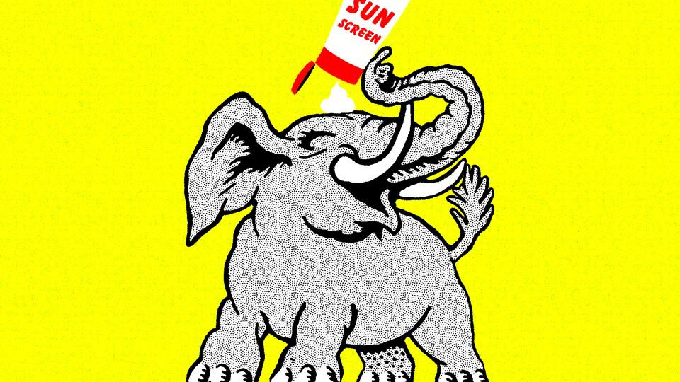 你应该给猫涂防晒霜吗？ - 咕咕读