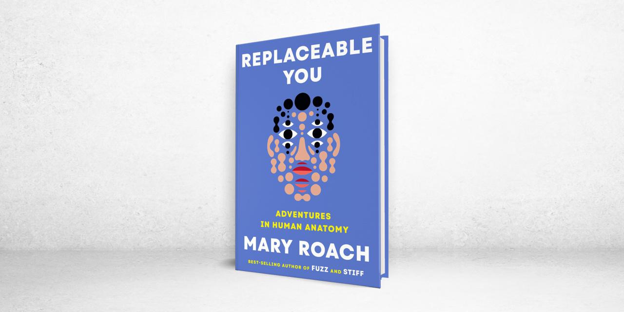 《可替代的你》评审：生命的基石 - 咕咕读